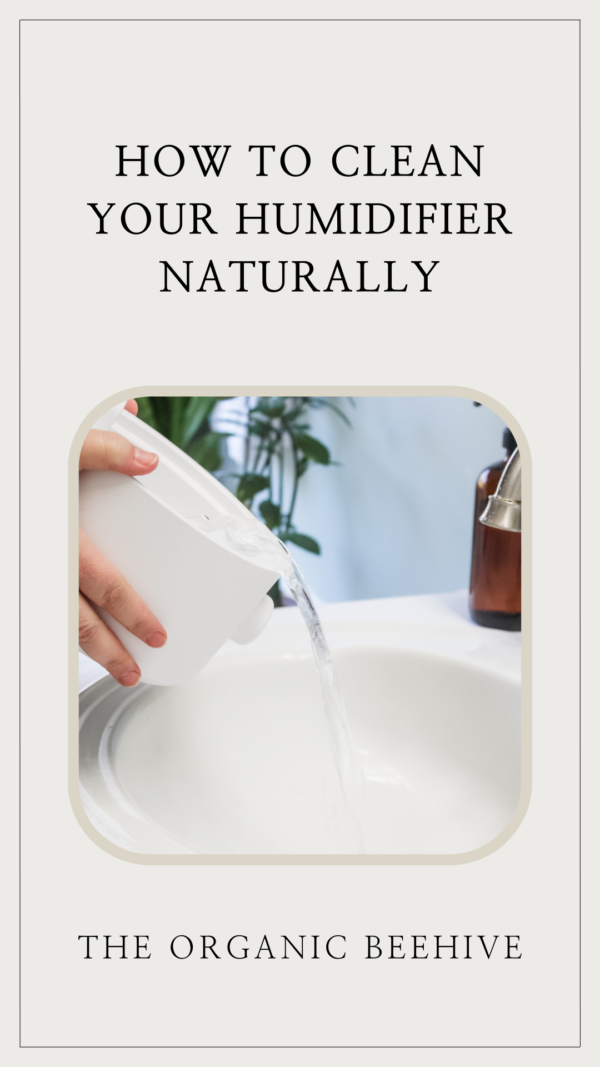 How to Clean Your Humidifier Naturally to Avoid Breathing in Airborne ...