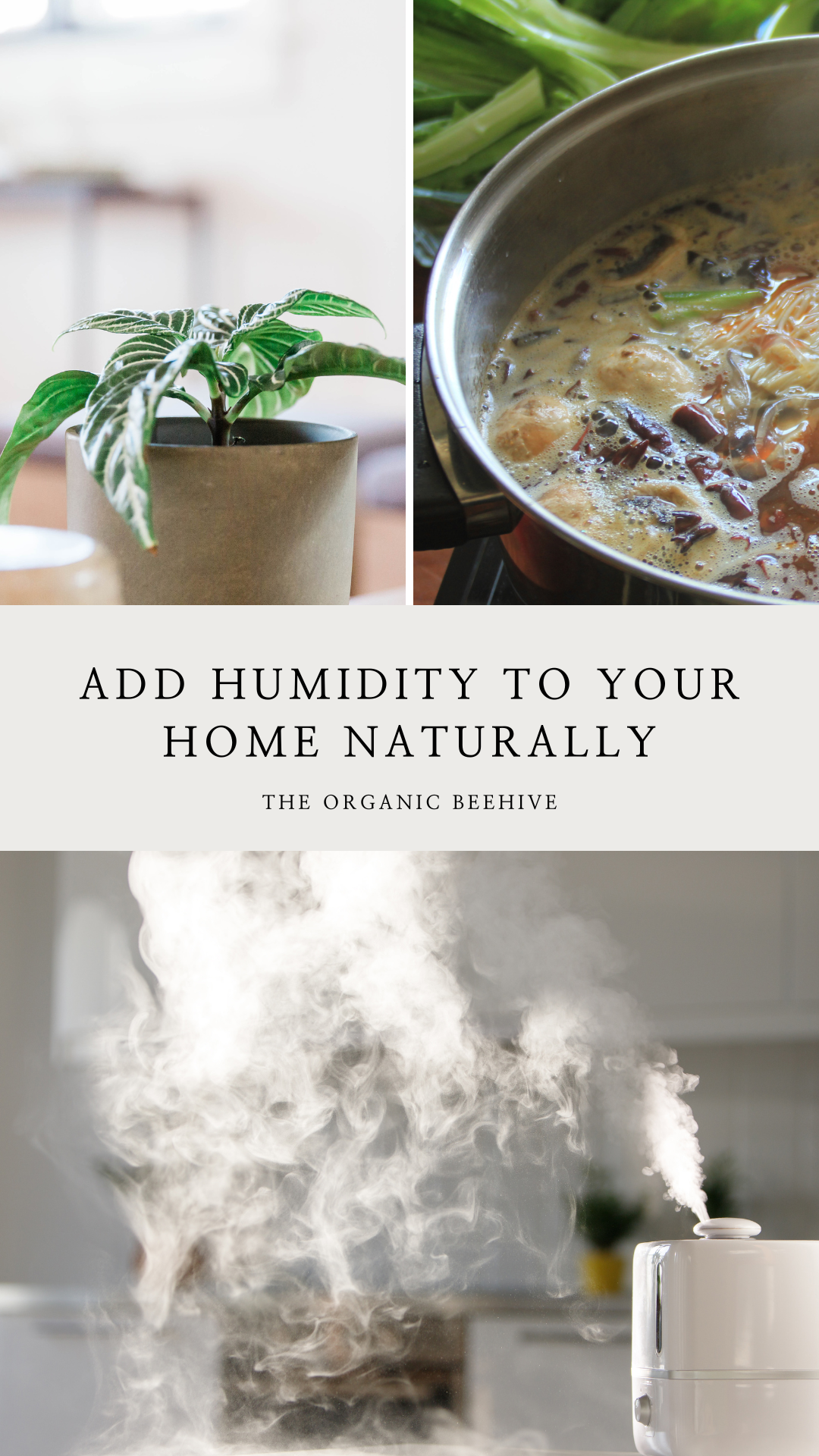 The Simple Solution for Preventing Illness: Add Humidity to Your Home ...